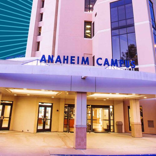 NOCE Brand - North Orange Continuing Education